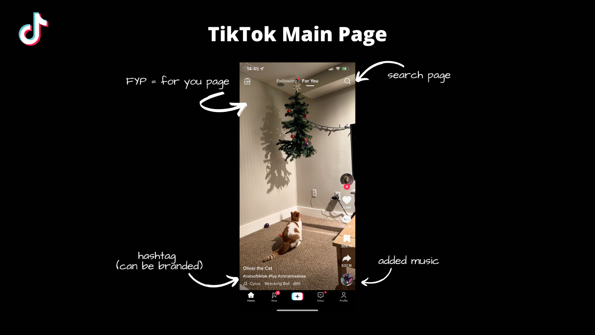 10 Top Performing TikTok Ads Examples | Upbeat Agency